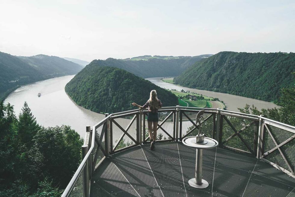Wandern am Donausteig: Wandertipp Schlögener Schlinge